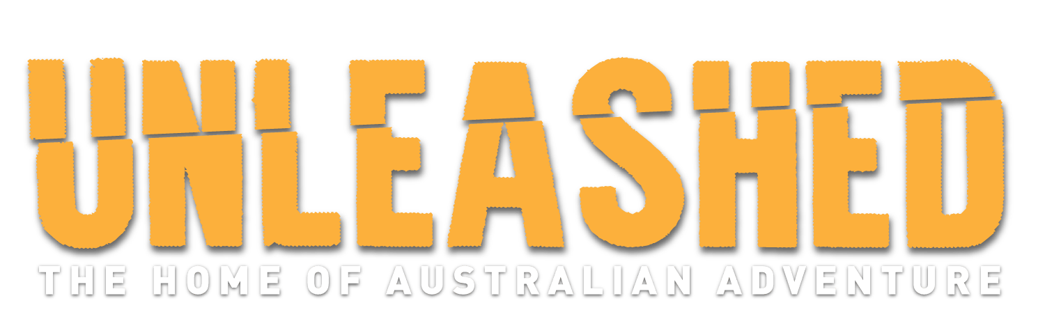 Login Gateway • Unleashed